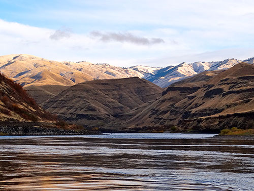 Borderline River Charters - Bird Country Resorts