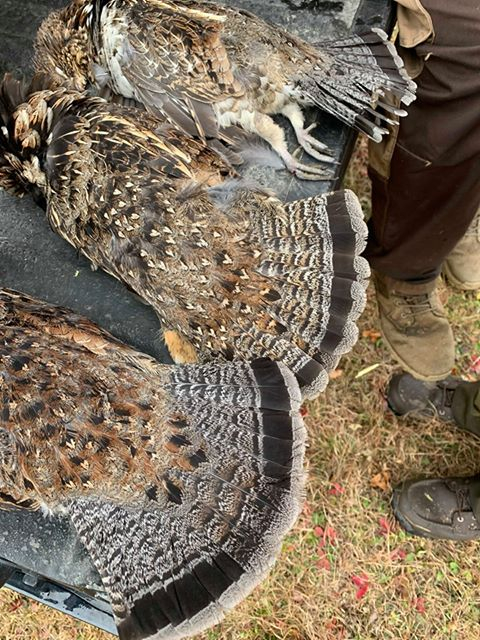 Cedar Ridge Outfitters - Bird Country Resorts