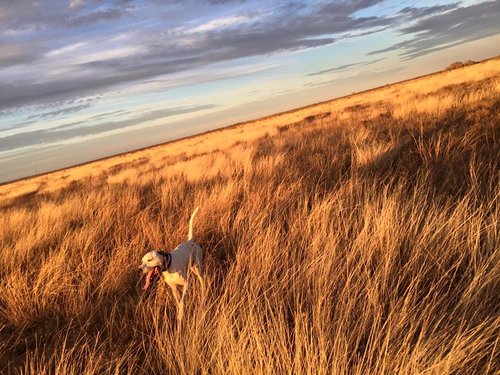 Circle Bar Ranch O - Bird Country Resorts