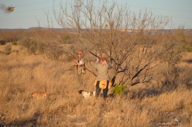 Divided Find Ranch - Bird Country Resorts