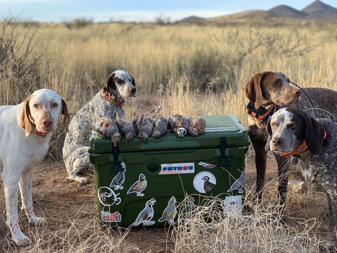 Double Aero Guides - Bird Country Resorts