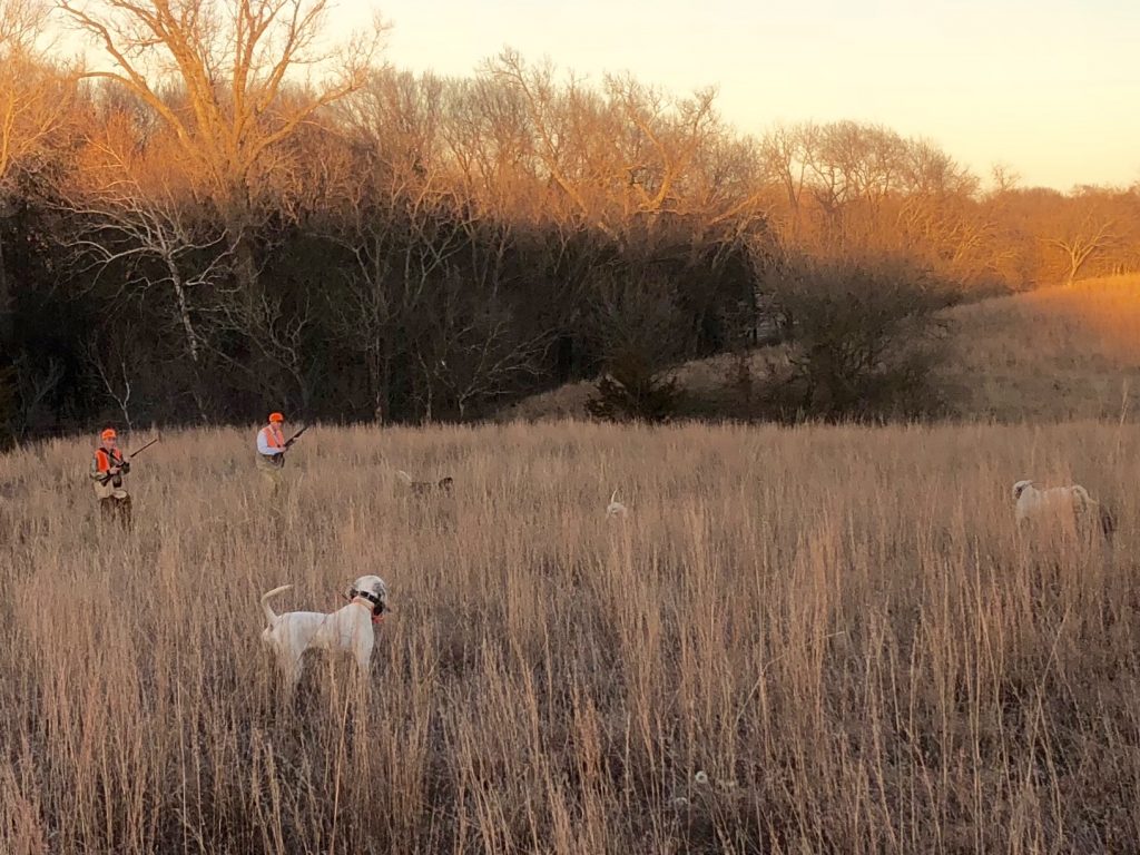 Flint Hills Hunts - Bird Country Resorts