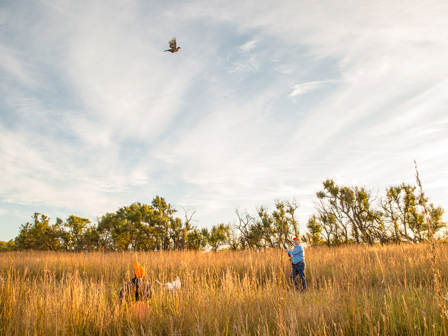 Flying B Ranch - Bird Country Resorts