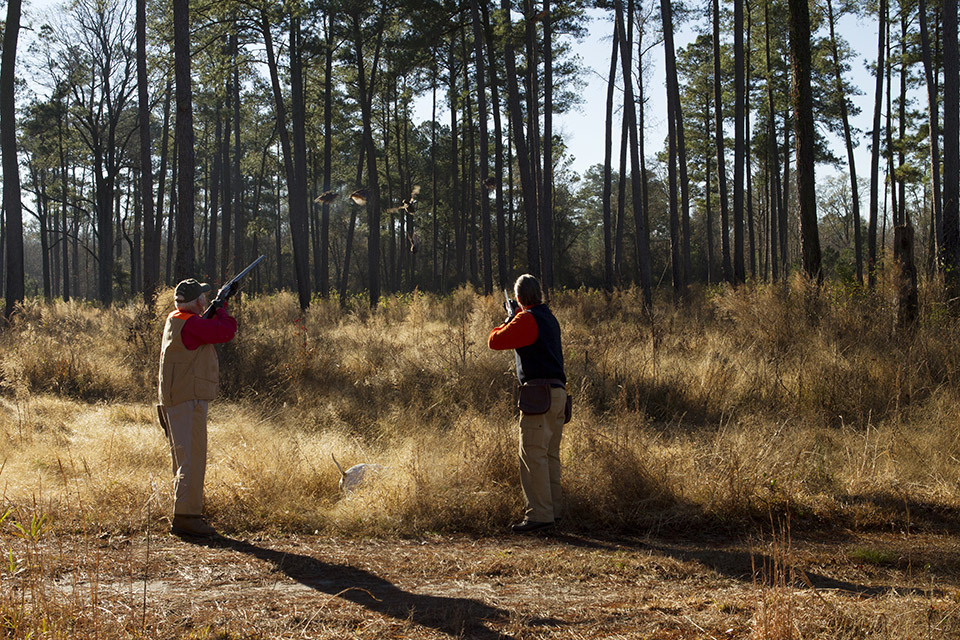 George Hi Plantation - Bird Country Resorts