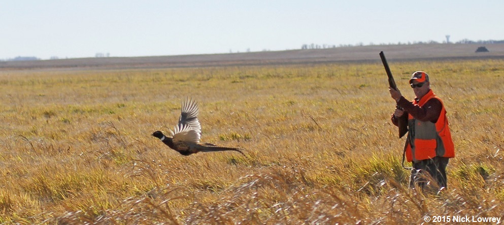 Hunt Daybreak Ranch - Bird Country Resorts