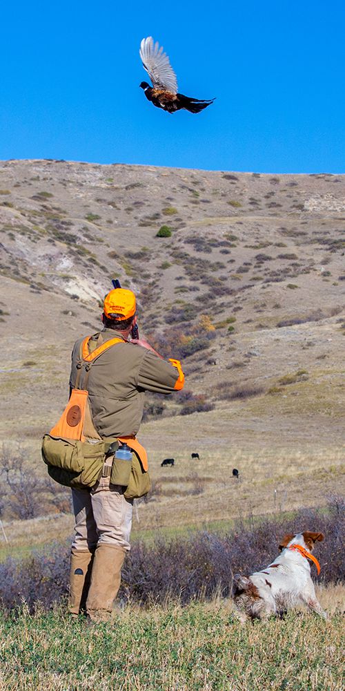 Forrester’s Bighorn River Resort - Bird Country Resorts