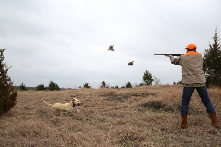 10-2-4 Ranch - Bird Country Resorts