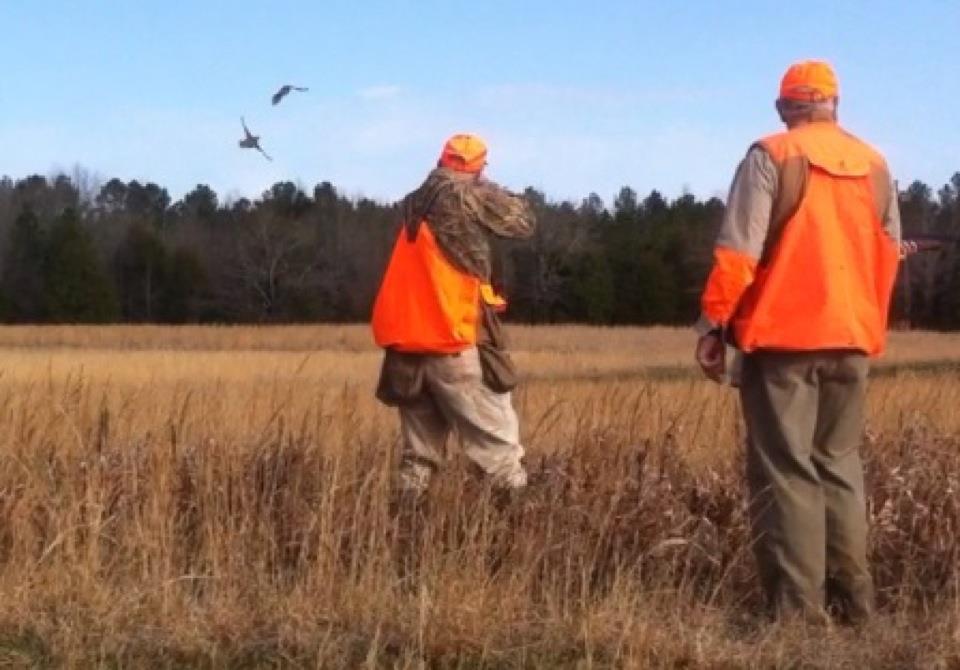 Little “q” Ranch Quail Hunting Preserve - Bird Country Resorts