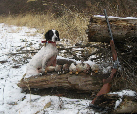 Mid-America Hunting Association - Bird Country Resorts