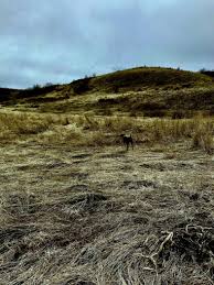 Miller Ranch - Bird Country Resorts