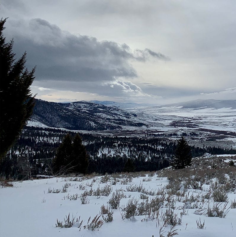 Montana High Country - Bird Country Resorts