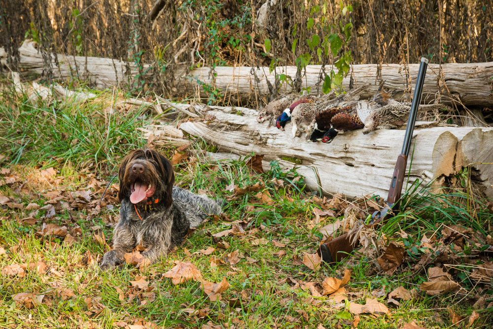 Otter’s Guide Service - Bird Country Resorts