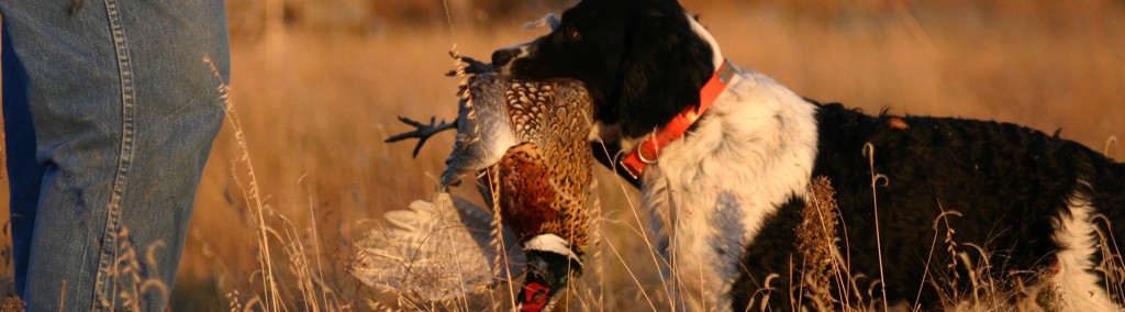 Ringneck Ranch, Inc. - Bird Country Resorts