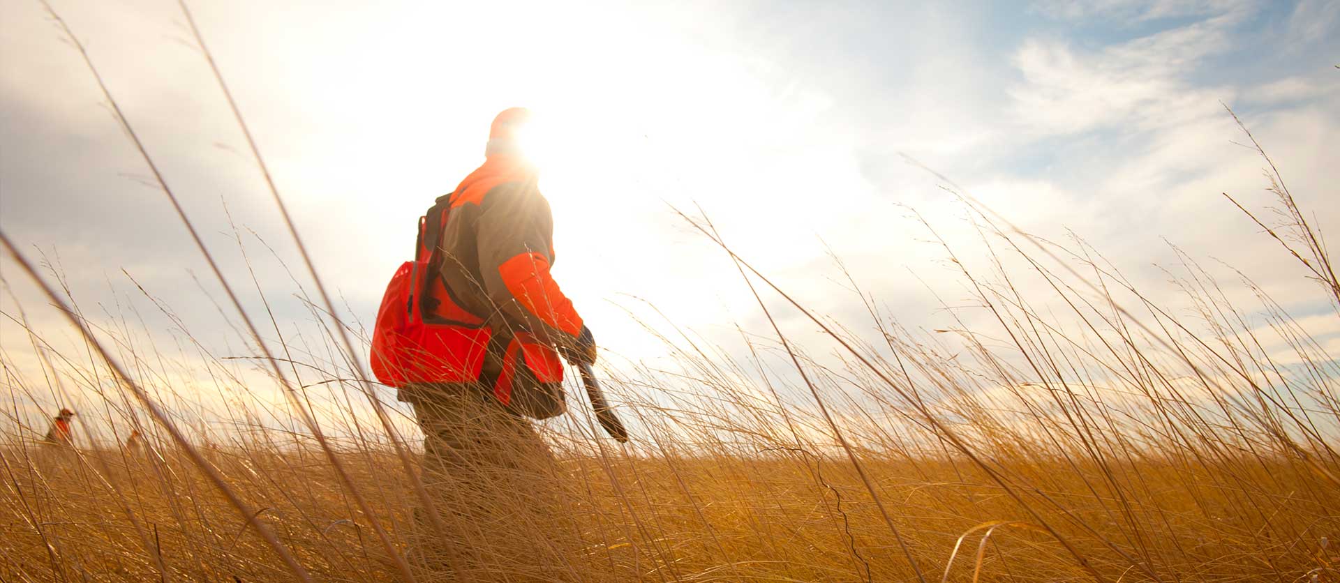 Rooster Ridge Hunting Lodge - Bird Country Resorts