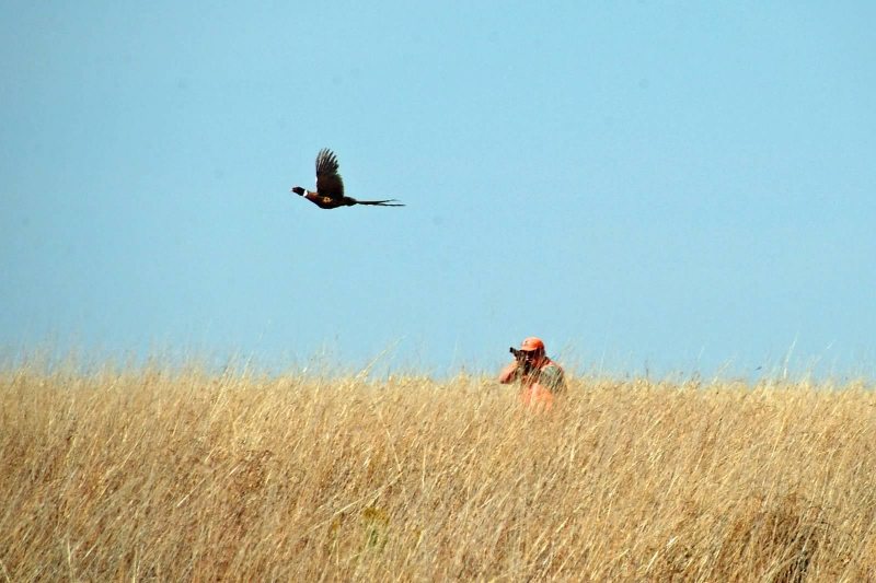 South Dakota Pheasant Acres - Bird Country Resorts