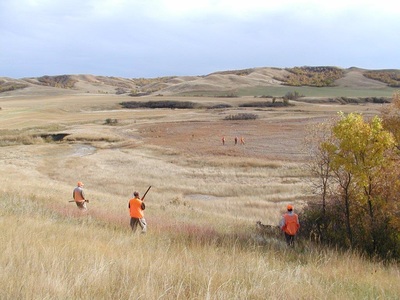 TTT Ranch - Bird Country Resorts