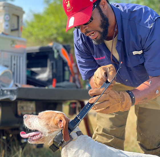 The Sporting Life Notebook - Bird Country Resorts