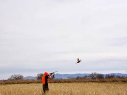 Tinnin Hunt Club - Bird Country Resorts
