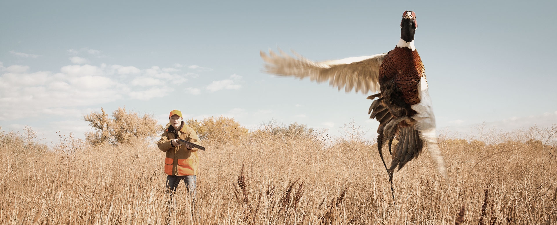 Wagon Wheel Ranch - Bird Country Resorts