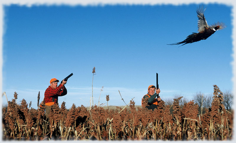 Warner Ranches - Bird Country Resorts