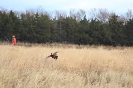 White Lake Hunting Lodge - Bird Country Resorts