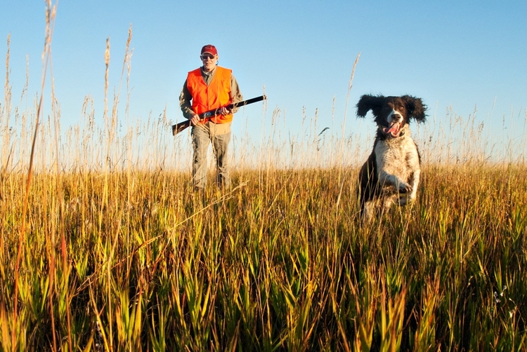 Wickens Ranch - Bird Country Resorts