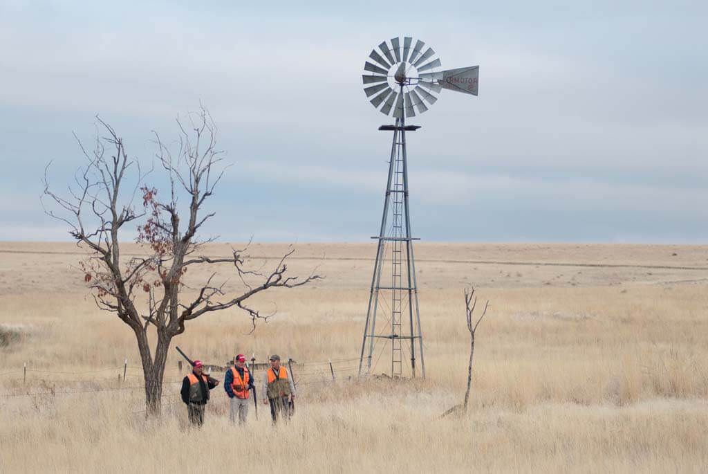 Ruggs Ranch - Bird Country Resorts