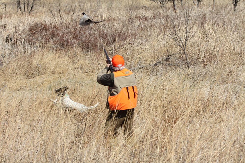 Spearpoint Ranch - Bird Country Resorts