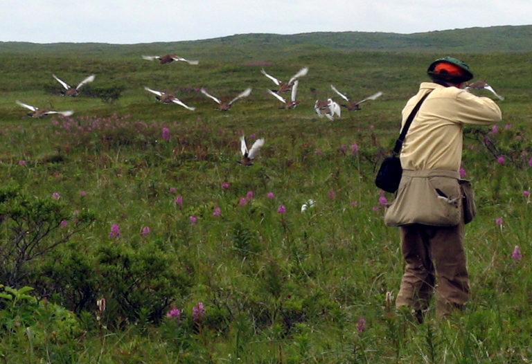 Wildman Lake Lodge - Bird Country Resorts