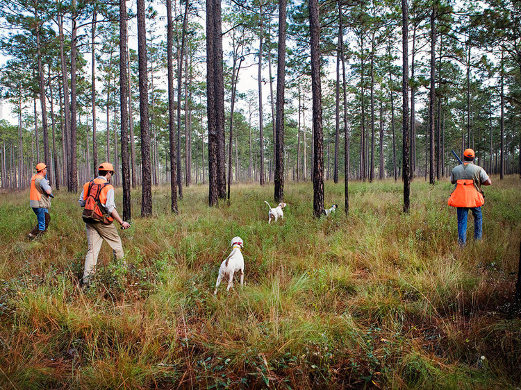 Woodside Plantation - Bird Country Resorts