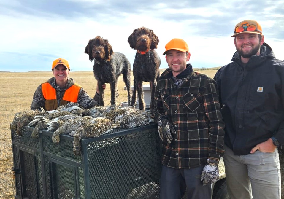 Are You a Dream Client? - Bird Country Resorts